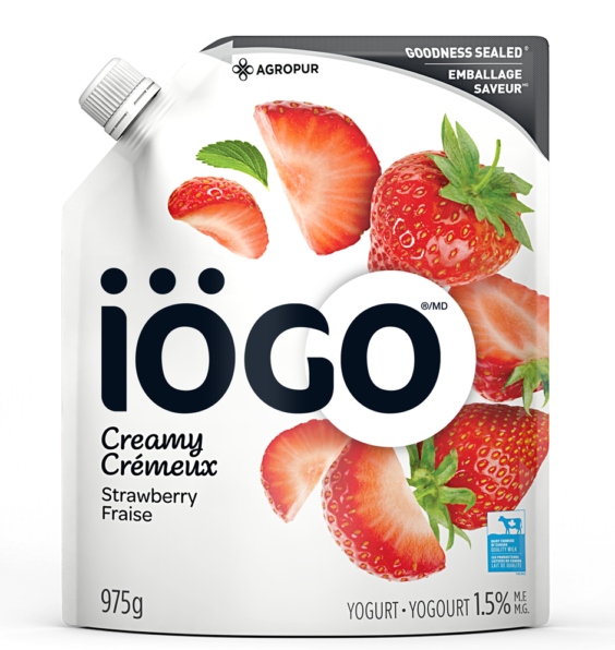 Creamy – Vanilla, Raspberry, Strawberry, Blueberry – 24x100g | IÖGO